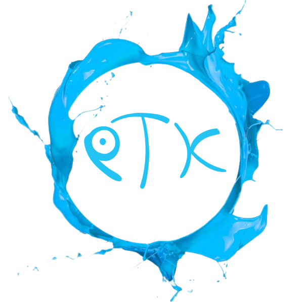 Cédric | Kay Tours Community